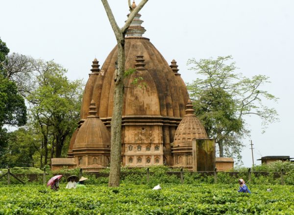 Top Things to Do in Golaghat
