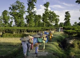 Enjoy the Top Things to Do in Jorhat – Best Jorhat Tourist Things to Do