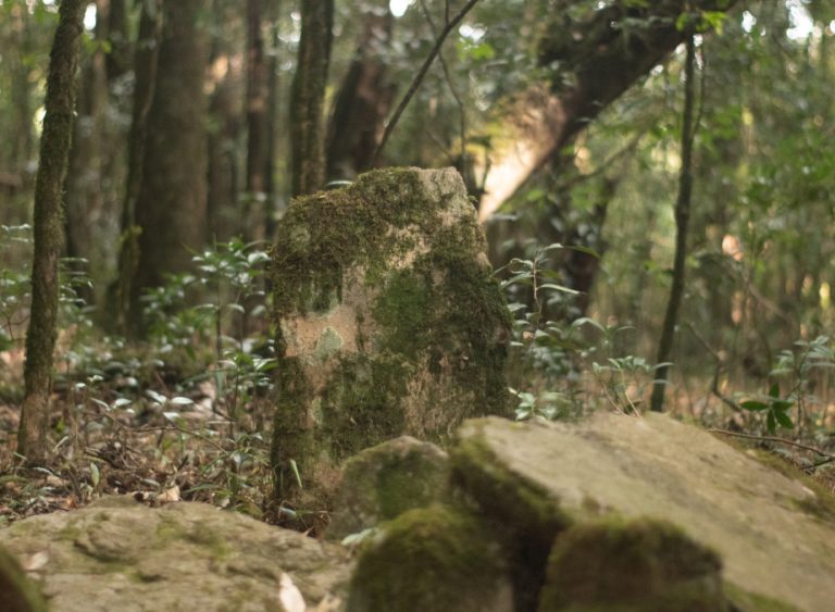 14 Things to do in Meghalaya: Easy Guide for Tourists