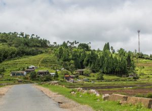 The Best Time to Visit Mawsynram, Meghalaya