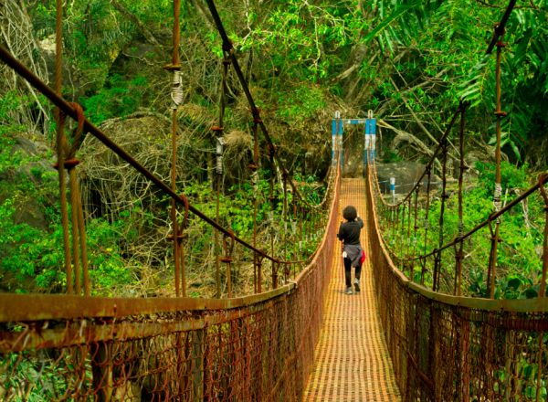 Meghalaya Travel Guide in February: Weather, Planning, Top Places ...