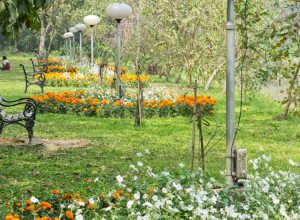 Top Things to Do in Tezpur: Explore Assam's Hidden Gem