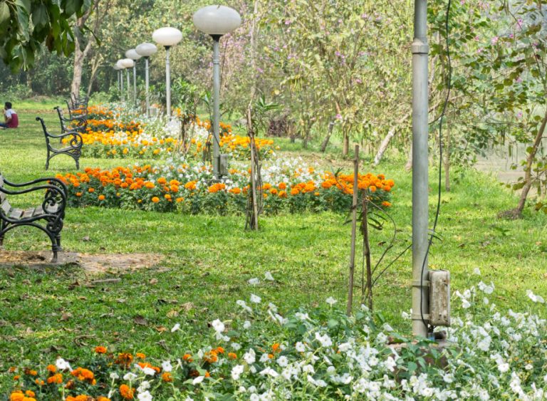 Top Things to Do in Tezpur: Explore Assam's Hidden Gem