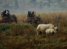 Places to Visit in Ziro - eSikkim Tourism