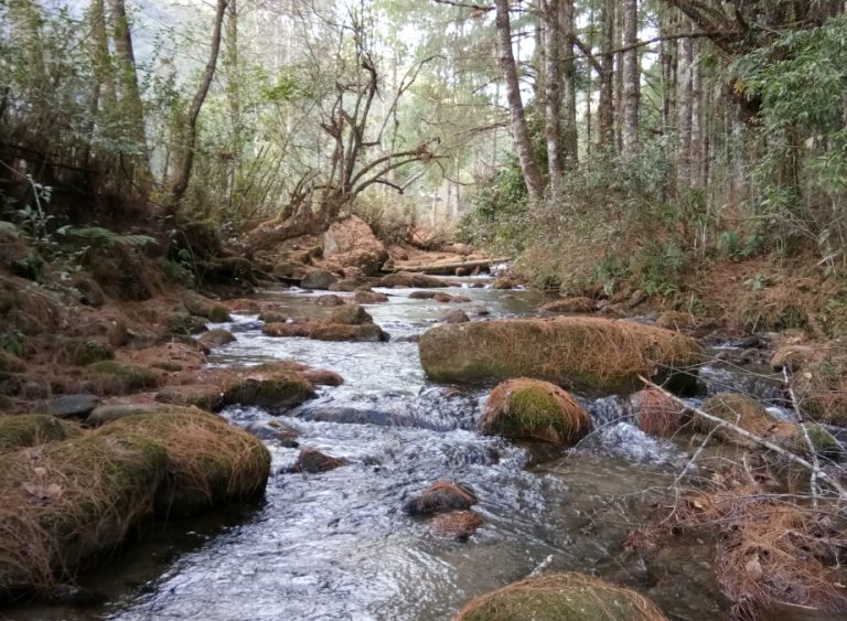 Places to Visit in Ziro - eSikkim Tourism