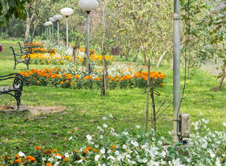 Assam Travel Guide in December: Weather, Planning, Top Places & Itinerary
