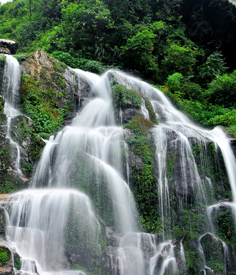 Bakthang Waterfall in Gangtok: Best Time to Visit, Travel Tips