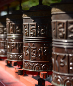 Gonjang Monastery, Gangtok: History, Timings, How To Reach