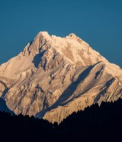 Barsey Rhododendron Sanctuary in West Sikkim - eSikkim Tourism