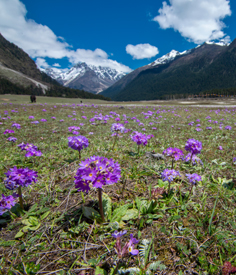 Jorethang Tourism | Jorethang Travel Guide & Best Time to Visit ...
