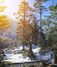 Rangpo Tourism | Rangpo Travel Guide & Best Time to Visit - eSikkim Tourism