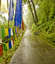 Ranipool Tourism | Ranipool Travel Guide & Best Time to Visit - eSikkim ...