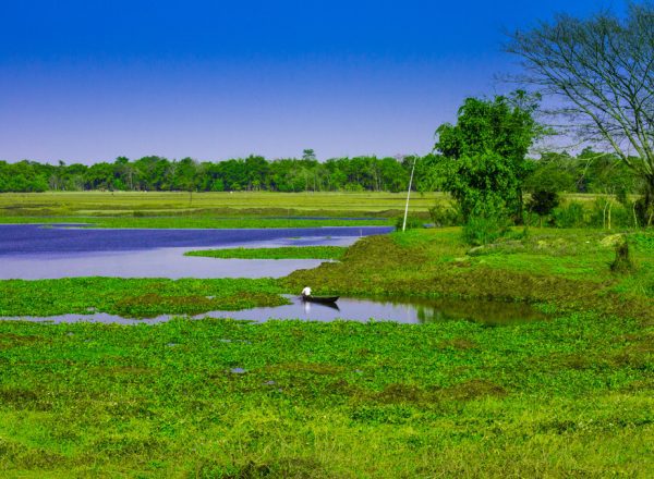 Detailed Guide on How to Reach Majuli